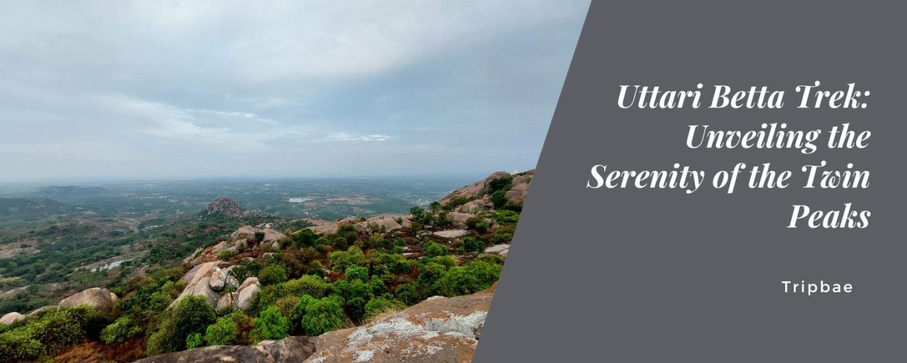 Uttari Betta Trek: Unveiling the Serenity of the Twin Peaks - Tripbae