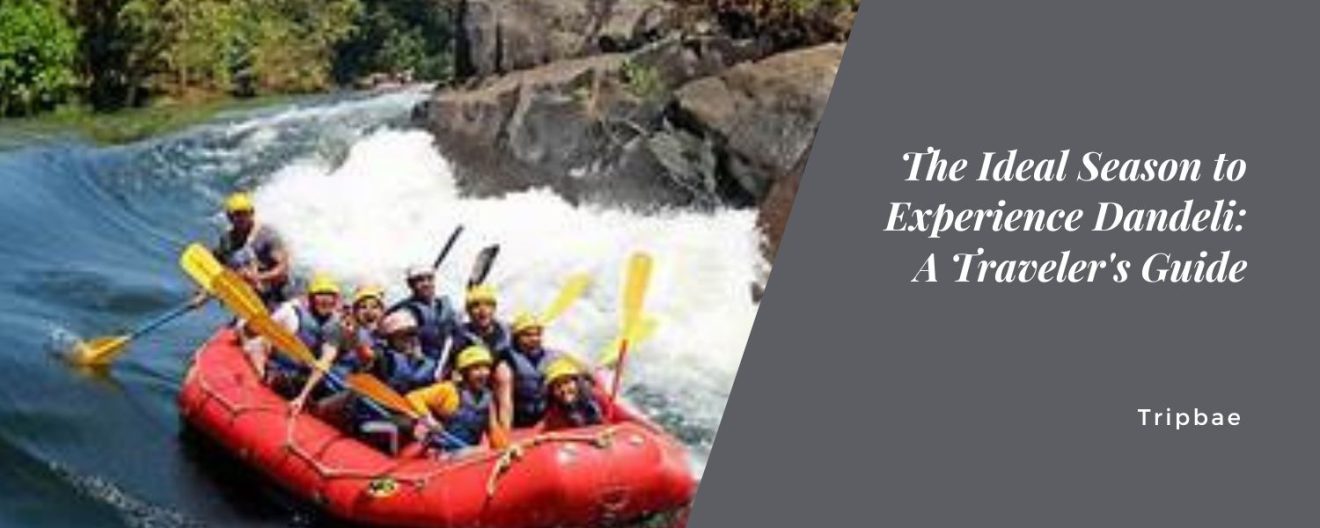The Ideal Season to Experience Dandeli: A Traveler’s Guide - Tripbae